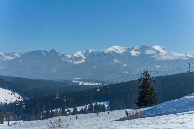 From Kraków: Slovakia Treetop Walk and Bachledka Ski - What the Reviews Say