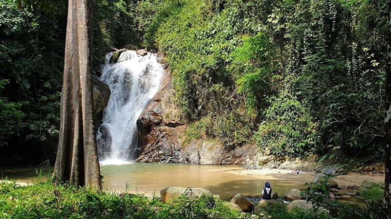 From Kuala Lumpur: Elephant Sanctuary Guided Tour - Analyzing the Value