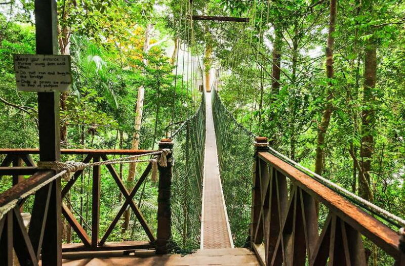 From Kuala Lumpur: Full-Day Taman Negara National Park - Authentic Experiences and Travel Tips