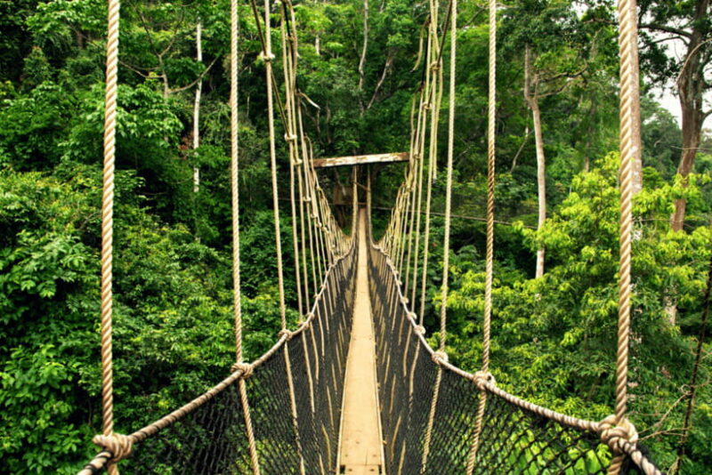 From Kuala Lumpur: Taman Negara National Park Private Tour - The Journey to Taman Negara