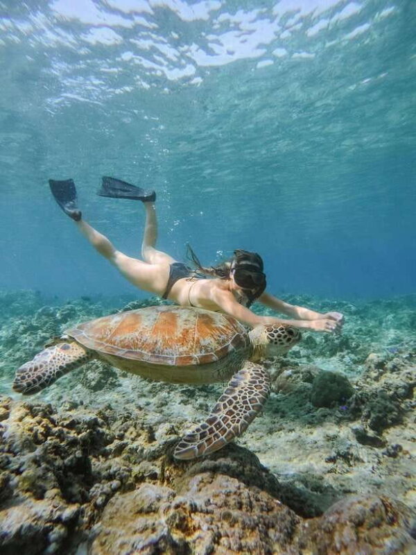 From Lombok: 3 Gili Islands Private Snorkeling Adventure - Why This Tour Stands Out