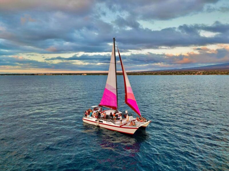 From Maalaea: Whale Watching Catamaran Cruise with Drinks - Why the Crew and Guides Matter
