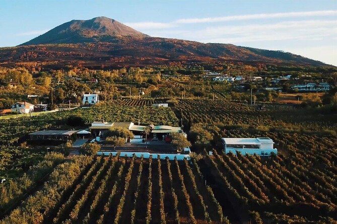 From Naples: Pompeii & Wine Tasting" Private Day Tour - Frequently Asked Questions