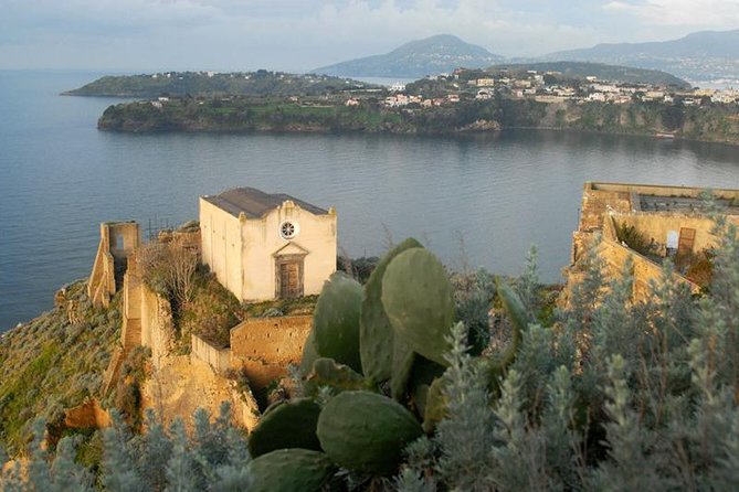 From Naples: Procida Island Day Trip with Lunch - Weighing the Value