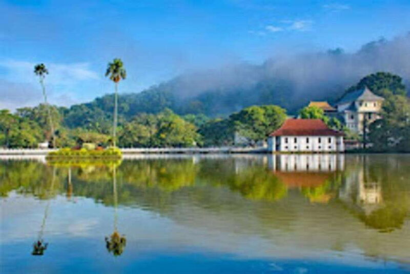 From Negombo : Pinnawala & Tea Factory & Kandy Full Day Trip - Analyzing the Value and Practicalities