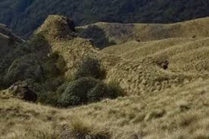 From Pokhara: 2 Night 3 Day Amazing Khumai Danda Trek - What’s Included and What’s Not