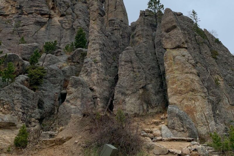 From Rapid City: Custer State Park Private Safari and Hiking - Transport and Group Size