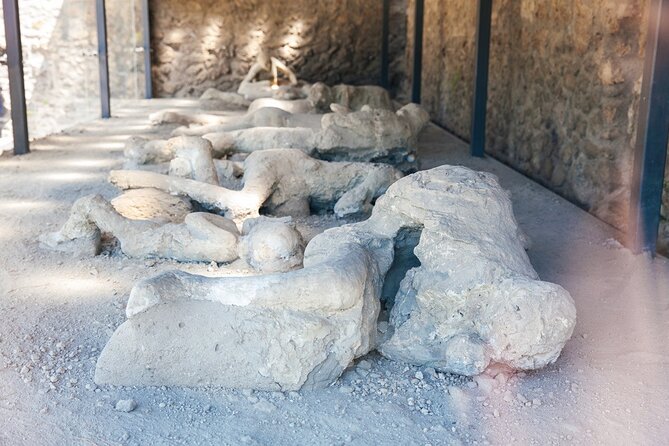 From Rome: Pompeii and Vesuvius Crater Experience with lunch - The Value of This Tour
