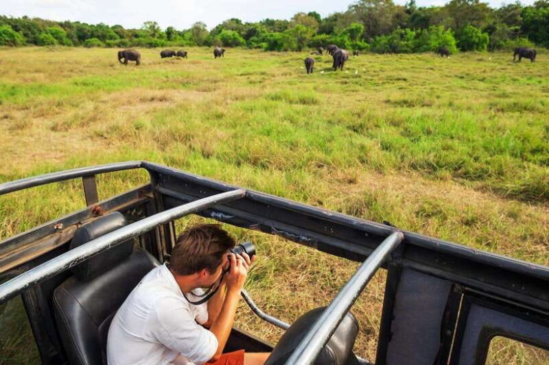 From Sigiriya: 6-Day Sri Lanka Tour with Yala Safari - A Practical Look at the Itinerary