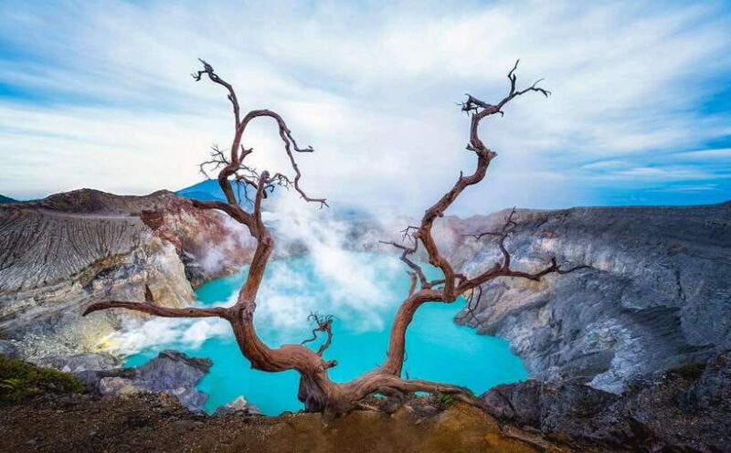 From Surabaya or Malang: 3-Day Bromo & Ijen Tour & Stay - Transportation and Logistics