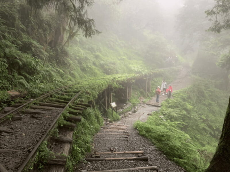 From Taipei: Taipingshan National Forest Private Day Tour - The Itinerary and What to Expect