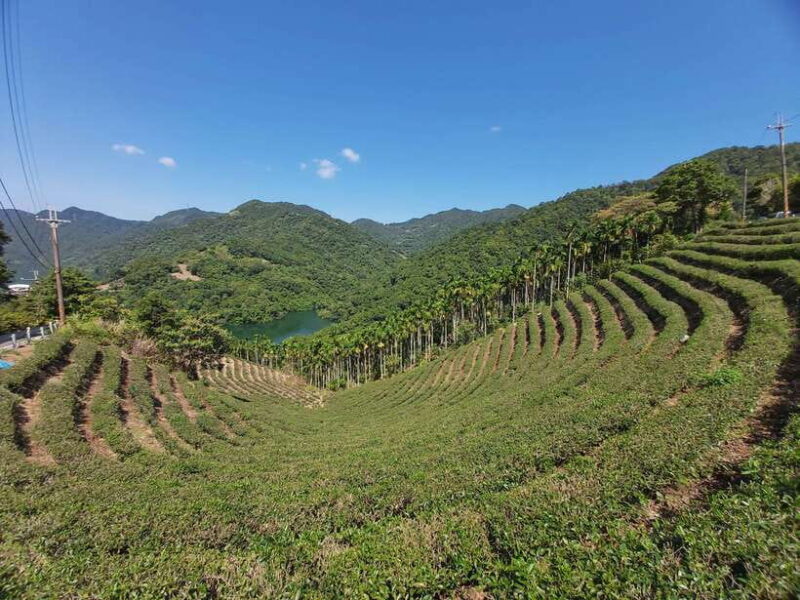From Taipei: Thousand Island Lake and Pinglin Tea Plantation - Exploring Thousand Island Lake: A Quiet Retreat from Taipei