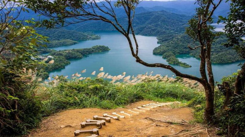 From Taipei: Thousand-Island Lake & Tea Museum Private Tour - Touring the Tea Gardens: Bagua Tea Plantation
