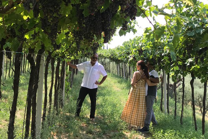 From Verona: Prosecco & Classic method sparkling wine tour, with light lunch - Practical Details and Tips