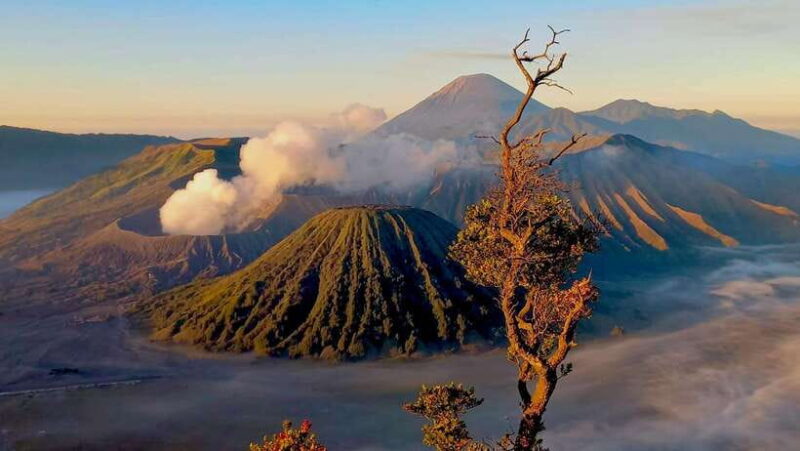 FROM YOGYAKARTA 3D2N BROMO&IJEN VOLCANO - What’s Included and What’s Not
