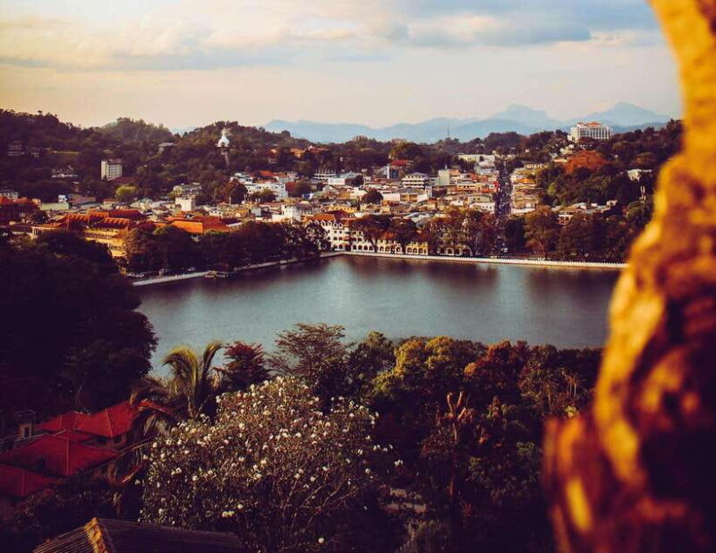 Full Coverage Kandy City Day Tour - Who Should Consider This Tour?