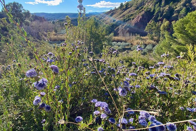 Full-day Hiking at Ruta the Aqua across Pena Cortada - Final Thoughts