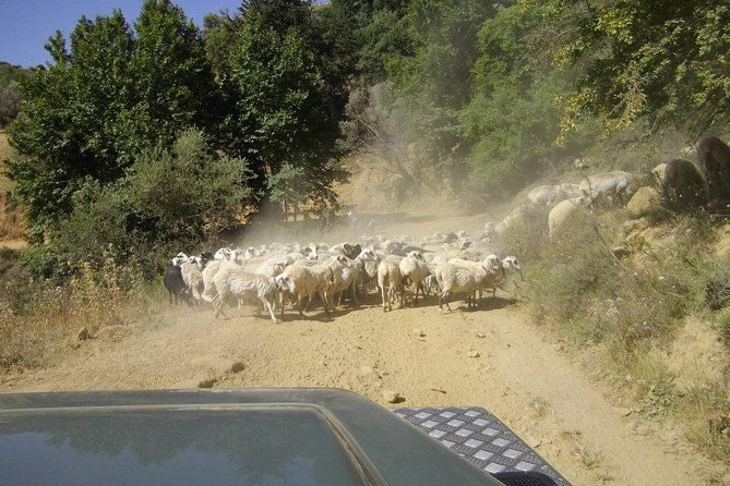 Full-Day Land Rover Safari from Heraklion with Lunch - Who Is This Tour Best For?