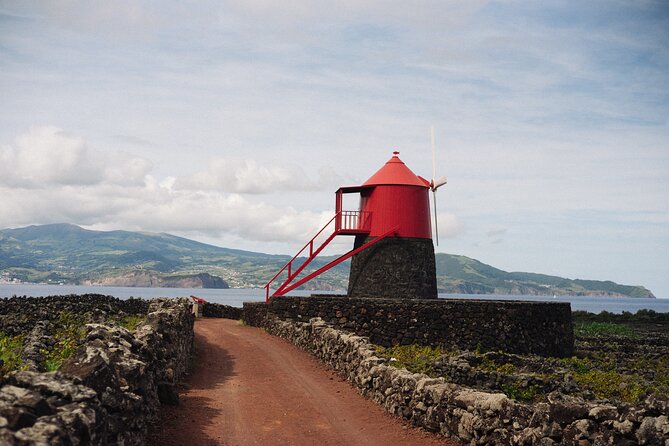 Full-Day Pico Island Tour from Horta - What to Expect from the Tour