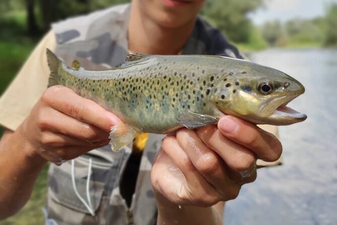 Full Day Private Guided Fishing Charter along the Isonzo Front - Final Thoughts: Why Choose This Tour?