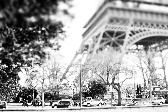 Full-Day Private Sightseeing Tour of Paris (luxury van) - Who Should Consider This Tour?