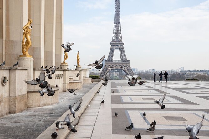 Full-Day Private Tour in Paris with Driver - Price and Value
