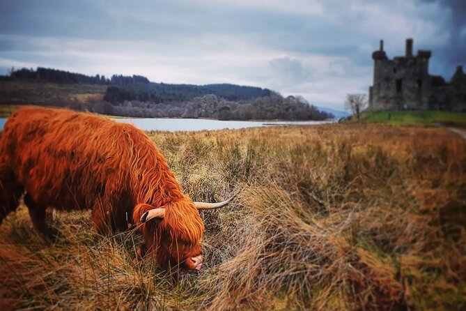 Full Day Private Tour in West Highlands, Oban and Glencoe - Analyzing the Value and Cost