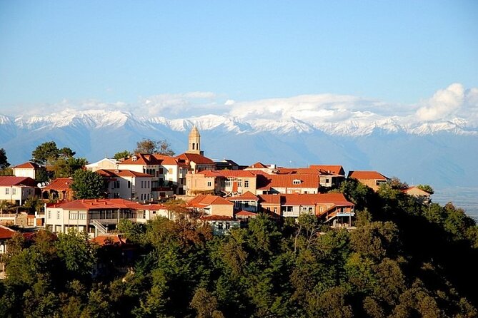 Full-Day Private Tour of Kakheti Region with Pick Up - Who Will Love This Tour?
