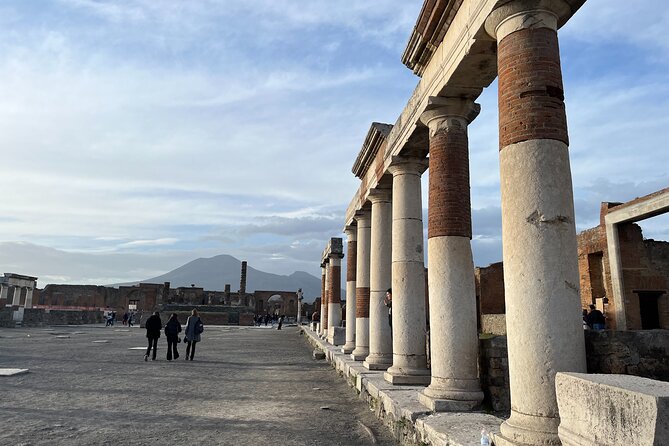 Full Day Private Tour to Pompeii, Herculaneum and Oplontis - The Sum Up