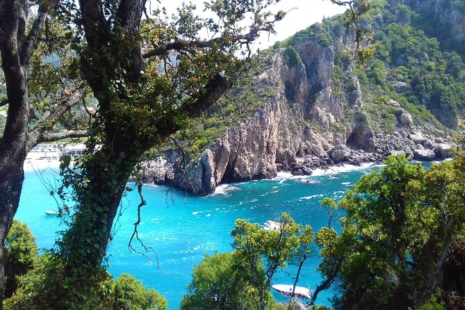 Full Day Private Tour to the North of Corfu Island - What Do Other Travelers Say?