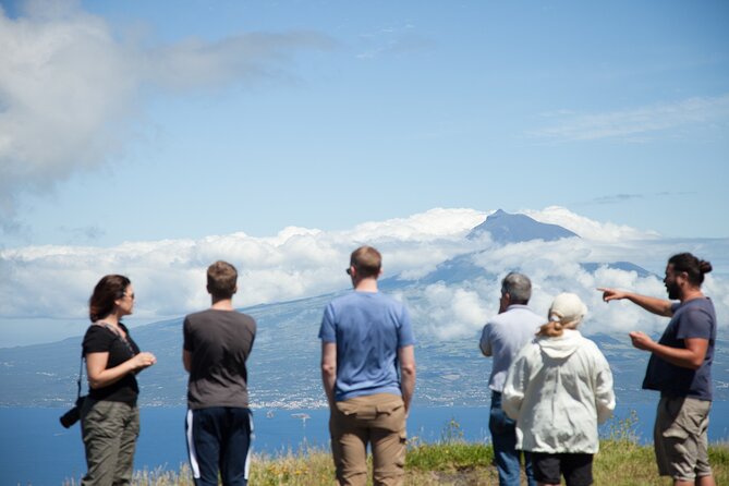 Full Day Private Trip Faial - The Sum Up