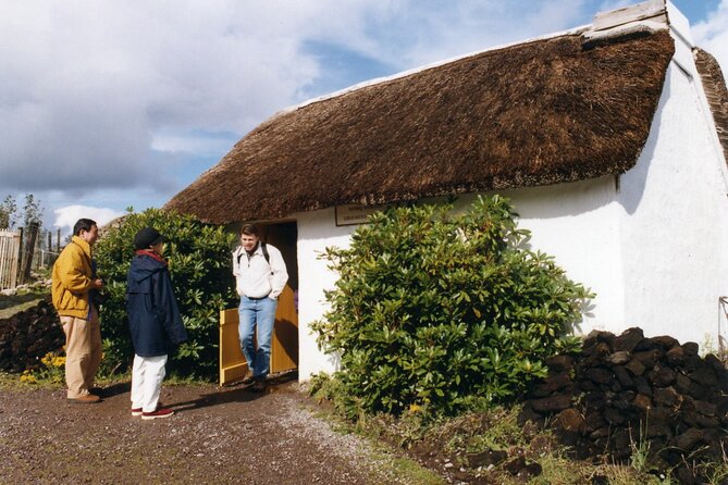 Full-Day Ring of Kerry Tour from Killarney - Who Would Love This Tour?