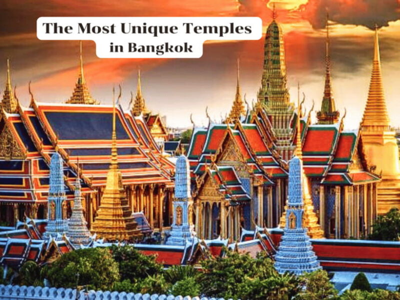 Full-Day Temple Tour in Bangkok with a Professional Driver. - Why This Tour Works for You