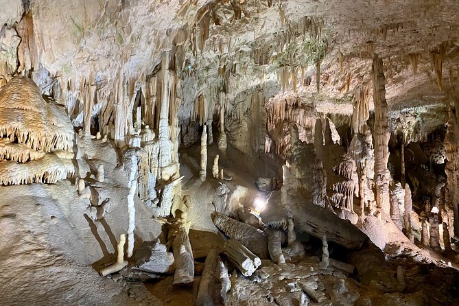 Full-day tour of Postojna Cave and Bled Lake From Ljubljana - Transportation and Group Size