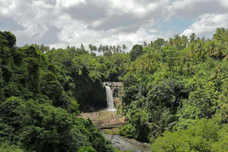 Full Day Tour To Explore Ubud with Private Car - Practical Details and Traveler Tips