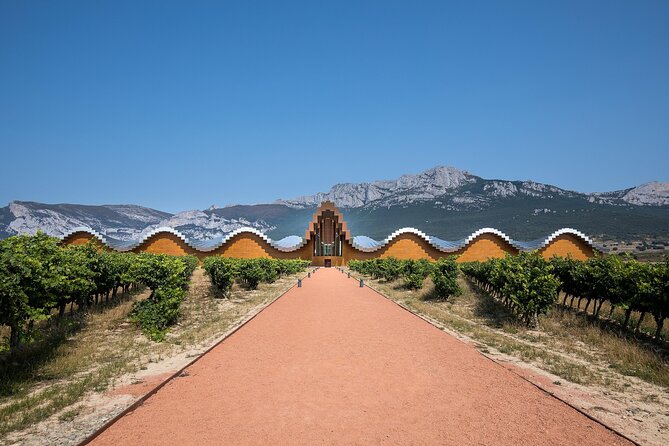 Full Rioja Wine Tour with Lunch from Bilbao Private Tour - Who Is This Tour Best Suited For?