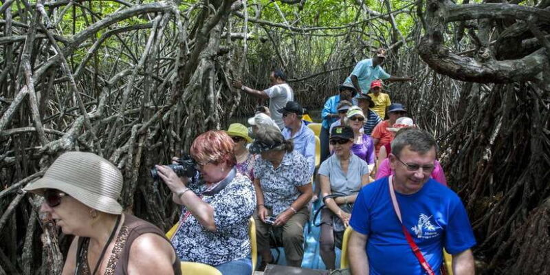 Galle fort and Bentota Day-Tour From Bentota - The Practical Details