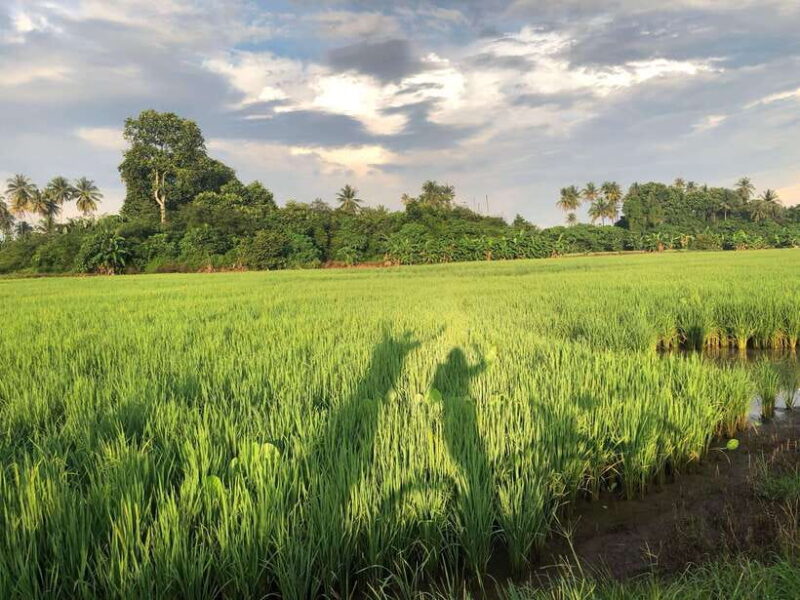George Town: Balik Pulau Countryside Morning Cycling Tour - Why You’ll Love the Balik Pulau Cycling Tour