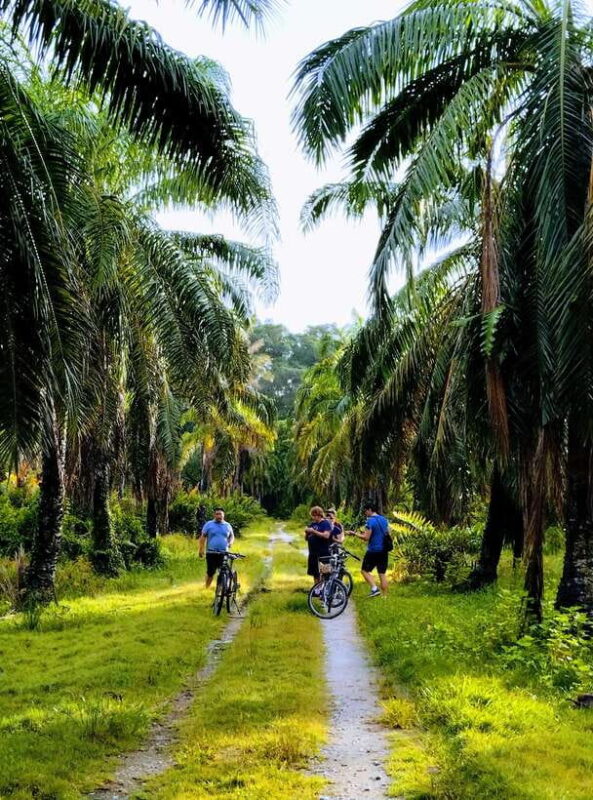 George Town, Penang: Malay Countryside Cycling - Authentic Encounters and Cultural Insights
