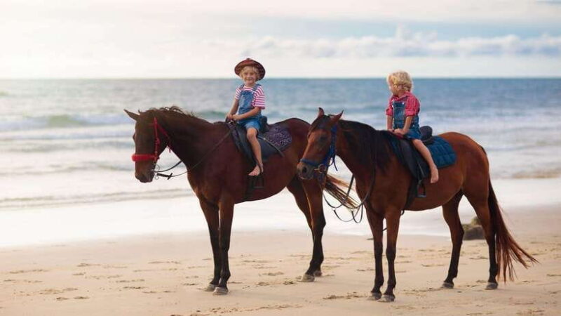 Gili Trawangan: Beach Horseback Riding with Pickup Hotel - How This Tour Fits Into Your Gili Trawangan Adventure