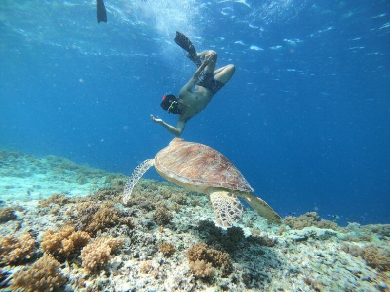 Gili Trawangan: Gili Islands Sunset Boat Tour and Snorkeling - The Itinerary Breakdown