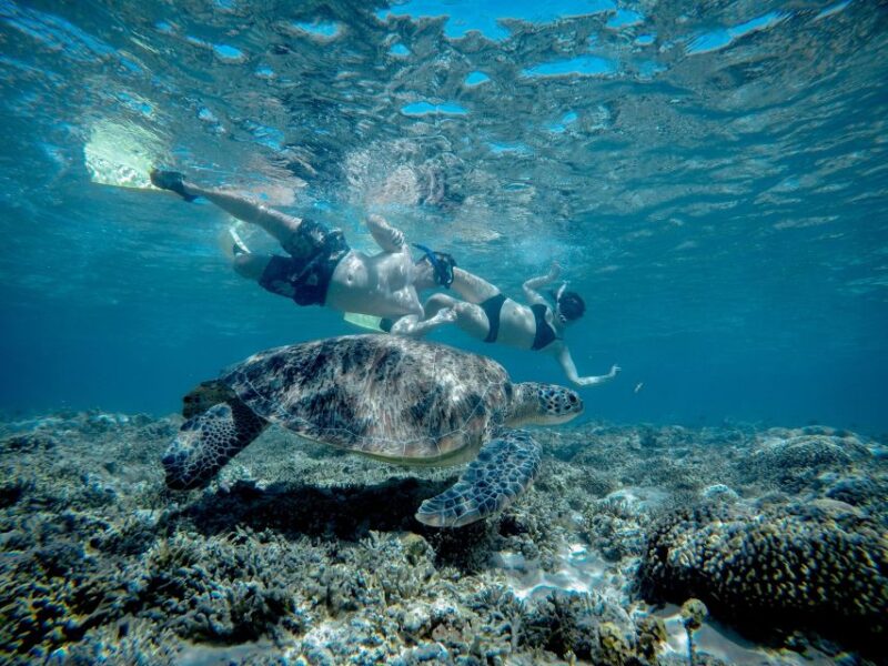 Gili Trawangan : Half Day Snorkeling with Turtle and Statue - Itinerary Breakdown