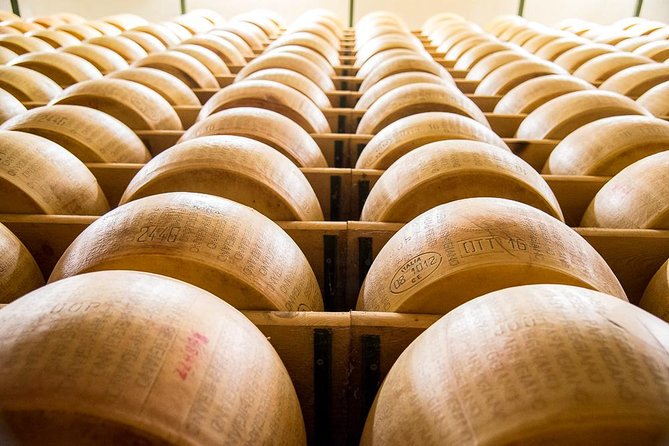 Guided group tour TastyBus: Parmesan Cheese and Parma Ham - Final Thoughts