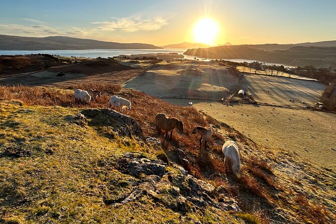 Guided Hebridean Farm Hike near Tobermory, Isle of Mull, Scotland - Who Should Consider This Tour?