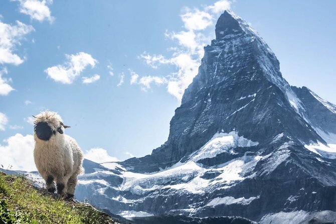 Guided Hiking Half Day in Zermatt - FAQ