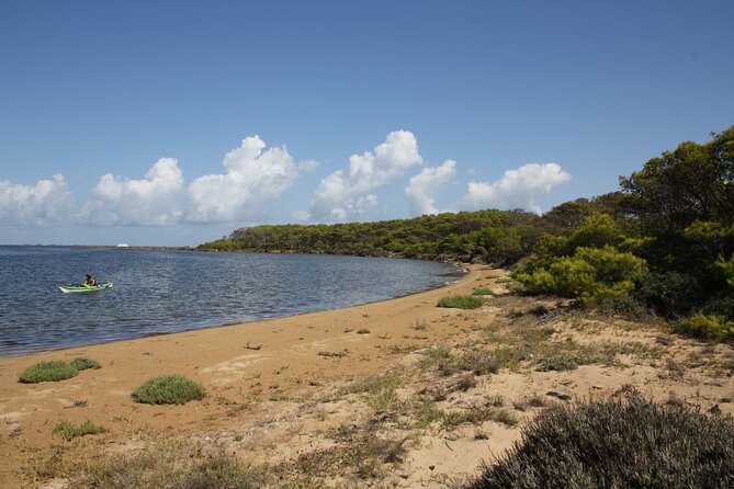 Guided kayak tour inside the Stagnone of Marsala - Why Choose This Tour?