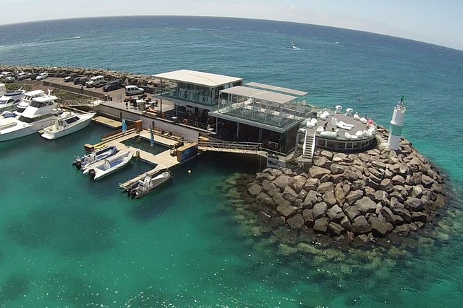 Guided Snorkeling Experience in Caleta de Fuste - What Real Travelers Say