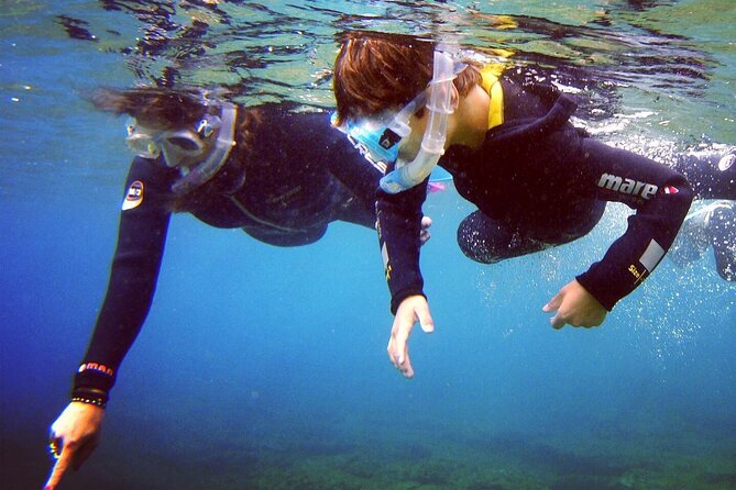 Guided Snorkelling Experience in South of Gran Canaria - The Sum Up