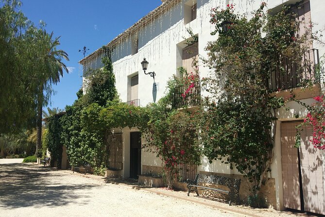 Guided Tour Of An Old Winery with Tasting from Alicante and Elche - Who Should Consider This Tour?