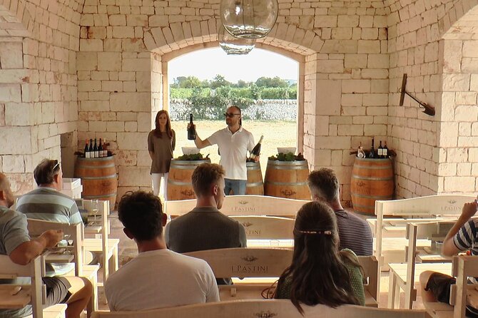 Guided Visit to the Vineyard with Wine Tasting - The Review Highlights